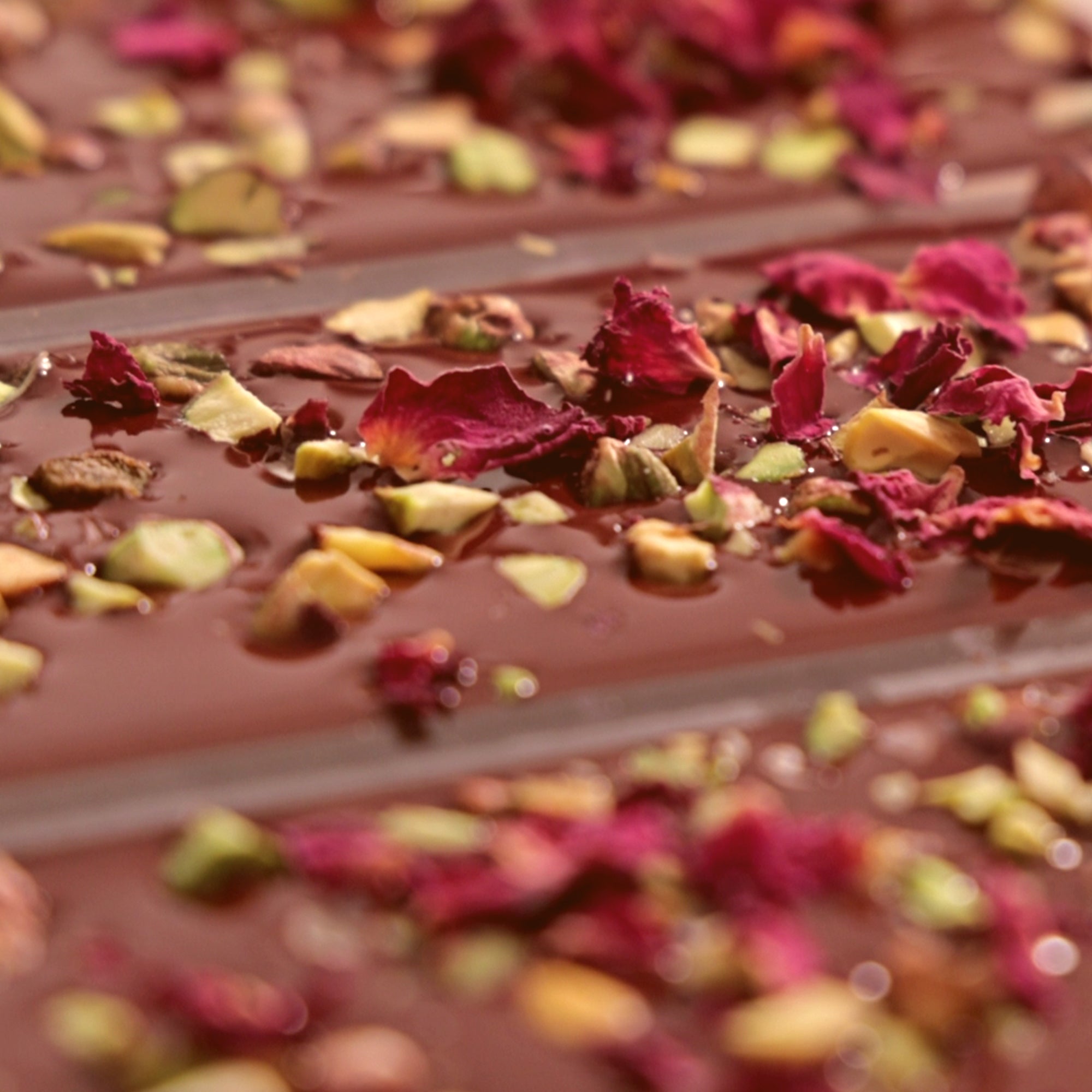 Bon Fiction : Artisanal Chocolate made from Tree-to-Bar